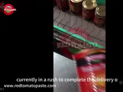 400g Canned Tomato Paste Easy To Open The Lid Double Concentrated China Factory Production Factory P