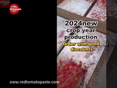 Certified High-Quality Tomato Paste | Cold Break | Latest Season | Brix 36-38%