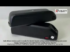 dual downtube 48v 25ah ebike battery pack 1000w 750w conversion kit