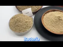 factory supply efficient aerobic agents brown solid 25kg/bag