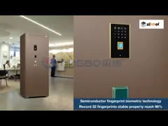 OEM Solid Steel Smart Safe Box Blocco impronte digitali per la sicurezza YB/ZY-180