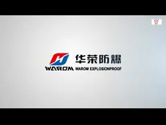 hry51-g/c explosion proof marine pendant lighting fixture led tube