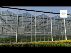 10 x 6 10 x 12 10 x 10 10 x 8 commercial glass greenhouse galvanized steel growing flower vegetable