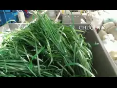 soft recycle material one shaft shredder plastic recycling high torque