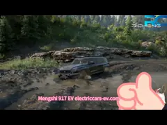 2023 mengshi 917 extended range ev long range vehicles torque 1050n.m 197 horsepower catl battery