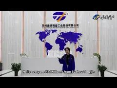 299mm에서 2999mm까지 치기 길이를 가진은 벨트 구동기 선형 드라이브 단위