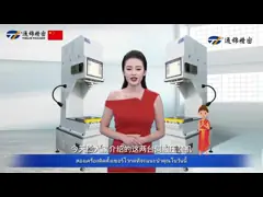 정확성 3 ~ 30 N 두 개의 전기 서버의 용량 0,02 mm