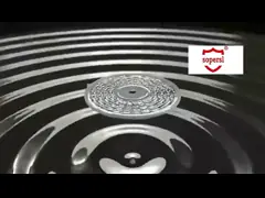 Het aantal deelnemers aan dit programma wordt geschat op 150.