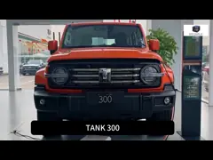 2024 new off-road 2.0t 3.0t 2wd 4wd tank 300 suv adult gasoline car hybrid phev