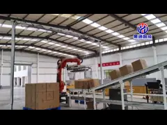 Container Truck Automatic Box Loader Posizionamento intelligente ed accurato 500-1200 casse/ora