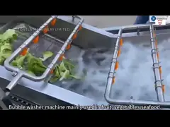 custom lettuce fruit and veg cleaning machine washer 500-1000kg/hour