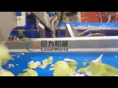 2Equipo de lavado de hortalizas de la línea de procesamiento de hortalizas recién cortadas de 0,5 t/h