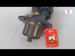 Afe45/61W-Vz1191j R902165476 Pompa idraulica Rexroth per macchine da costruzione