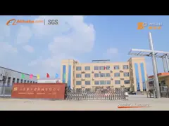 100kg/H-6t/H Dry Kibble Dog Food Manufacturing Machine Extruder Production Line