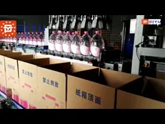 Macchine per imballaggio di acqua minerale a colonna unica