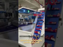 Macchina di conteggio visivo multifunzione per imballaggio di salsa