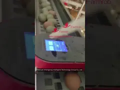 インテリジェント・エッグ・カウント・システム 3W IP41 1年保証