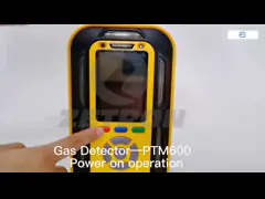 Ptm600-BIO Detettore portatile di gas discarica CO2 CH4 O2 H2s Co H2 analizzatore di biogas