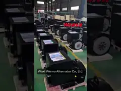 Machine d'induction sans pinceau en alliage d'aluminium de 1500 tours par minute, légère avec protection contre les intrusions IP22/IP23