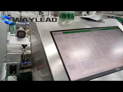 Ligne d'emballage automatique de céréales croquantes et chips machine d'emballage automatique de cartonnage et de palettisation ligne SUS304