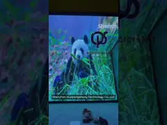 p2.604mm outdoor rental led screen waterproof versatile for large scale advertising