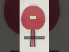 Colori il legno del tiglio delle pagaie della maniglia, racchetta di gomma di ping-pong dell'inverso della spugna bianca