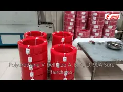 Παιδεία για πολυουρετάνια