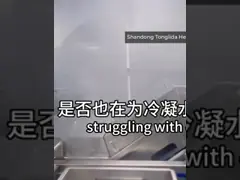 Condensatore elettrico a doppia temperatura Sistema di pompaggio