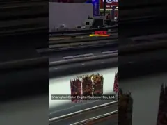 Automatic Digital 6 Feet Roll to Roll and Flatbed UV Hybrid Inkjet Printer