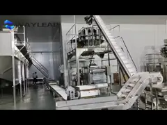 10 à 90 sacs/min Machine VFFS verticale pour l'emballage de collations dans les usines de transformation alimentaire
