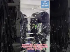 保護されたガラス接続ケーブル,Huawei-sc/apcと対応