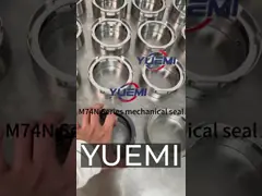 Pompa d'acqua industriale a medio sigillo meccanico centrifugo a moltepore M74N