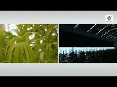 commercial film curtain fabric blackout greenhouse for sensitive plants