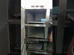 mortuary feezer for 6 bodys, mortuary cold storage, mortuary cold room