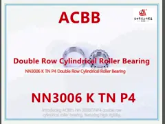 NN3006 K TN P4の倍の列の円柱軸受