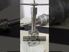 Válvula de seguridad criogénica SS304 3/8''-4'' para LNG LOX LIN LAR