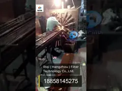 il filtro da acciaio inossidabile 316L 304 ingabbia la cartuccia di sollevamento verticale