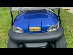 black color lifted beverage food golf cart 48v 2 passenger hotel buggy car