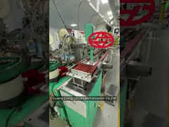 260 ブラッシュモーター 24mm 10000 Rpm マッサージ機用 高回転直流モーター