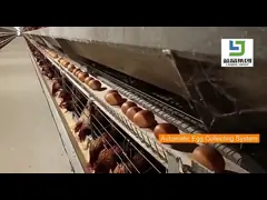 custom size steel structure poultry house galvanized steel multi functional