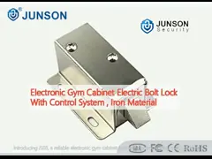 Electronic Gym Cabinet Electric Bolt Lock With Control System , Iron Material