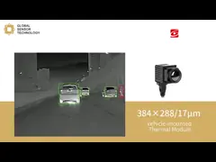 n-driver384 módulo de cámara infrarroja de visión nocturna 384x288 para conducción segura