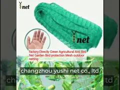 Agricultural Bird Protection Mesh Corrosion Resistant Outdoor Bird Netting Green