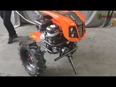 18 CV motore a benzina motore a rotazione motore agricolo motore da giardino motore di piccole dimensioni