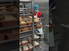 220v packaging and sealing machine map integrated with smart control