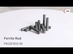R10*22 Ferrite 10pcs campioni gratuiti