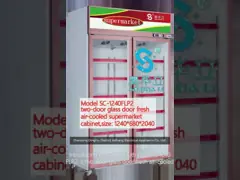 910l 220v 2 door glass door freezer convenient double door display freezer