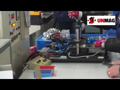 Magnetizzazione assiale N35 N52 Magneti al neodimio di grado con resistenza alla temperatura di 80°C-220°C