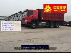 Sinotruk Howo 6x4 Lastwagen con 10 ruote