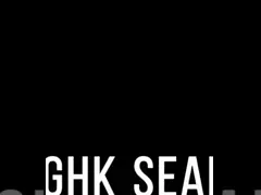 Ltaly Origin GHK Wiper Seal Hydraulic Cylinder Seal Kit Polyurethane Wiper Seal For Excavator Hydraulic Cylinder